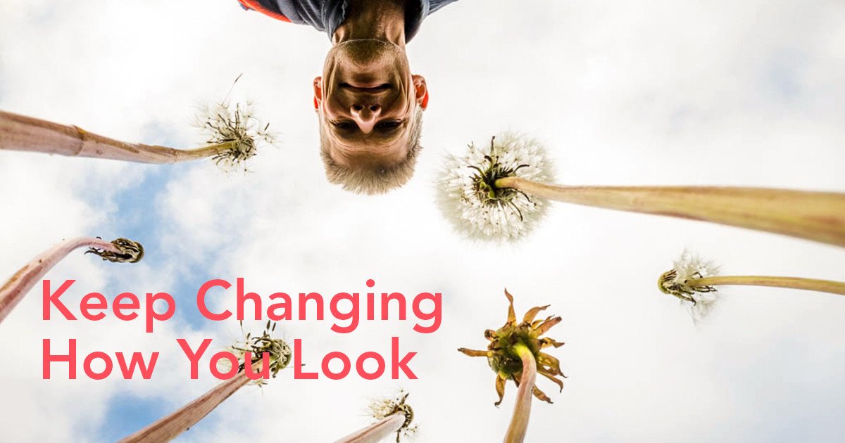 Looking Up From the Flower Field: Theo Bosboom’s Bug-Eye View