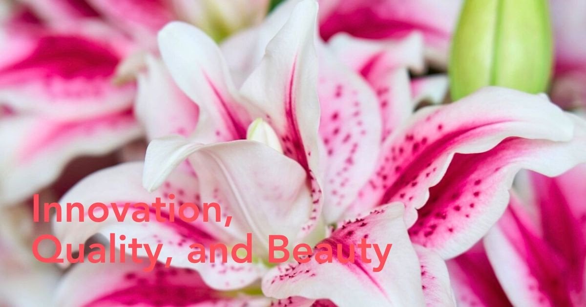 Decorum Brand NEW Label Highlights Plant Novelties