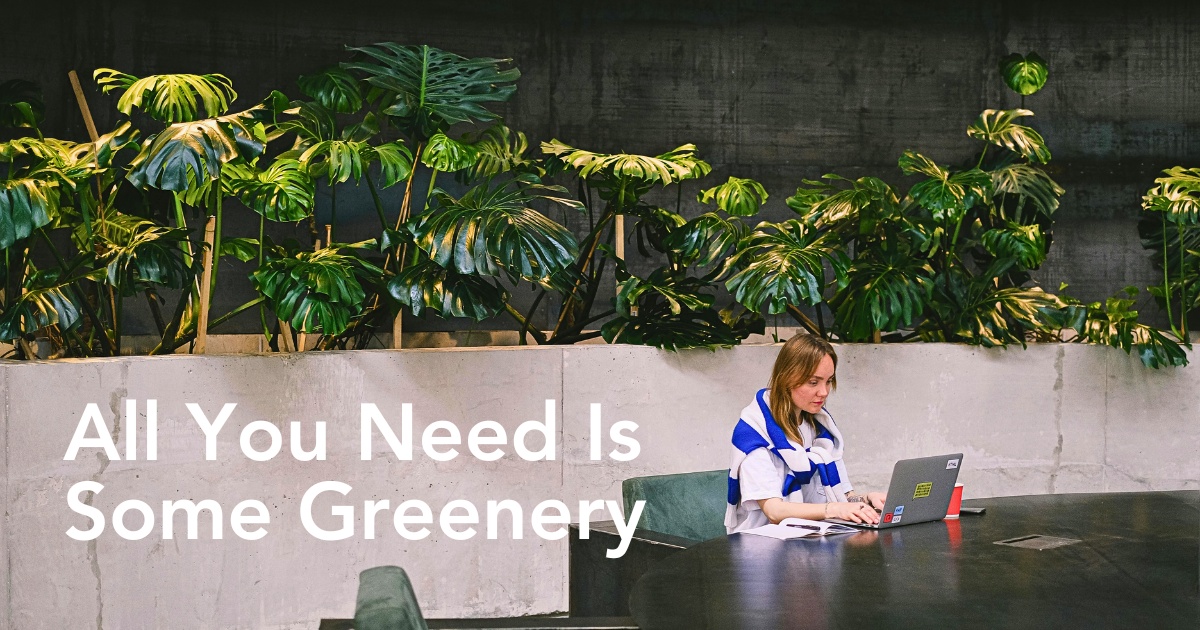 Bringing Life to Your Workspace With Corporate Plants