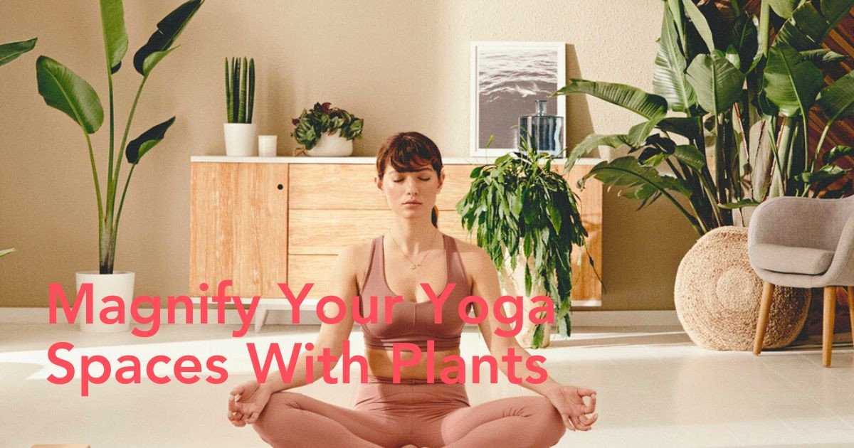 Best Greens to Enhance Your Yoga Room with Plants