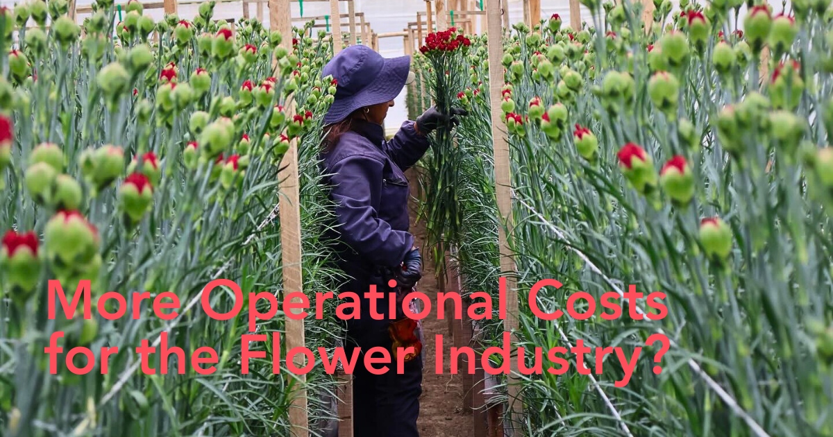 Colombia’s 23.7% Minimum Wage Increase and What It Means for Global Fl...