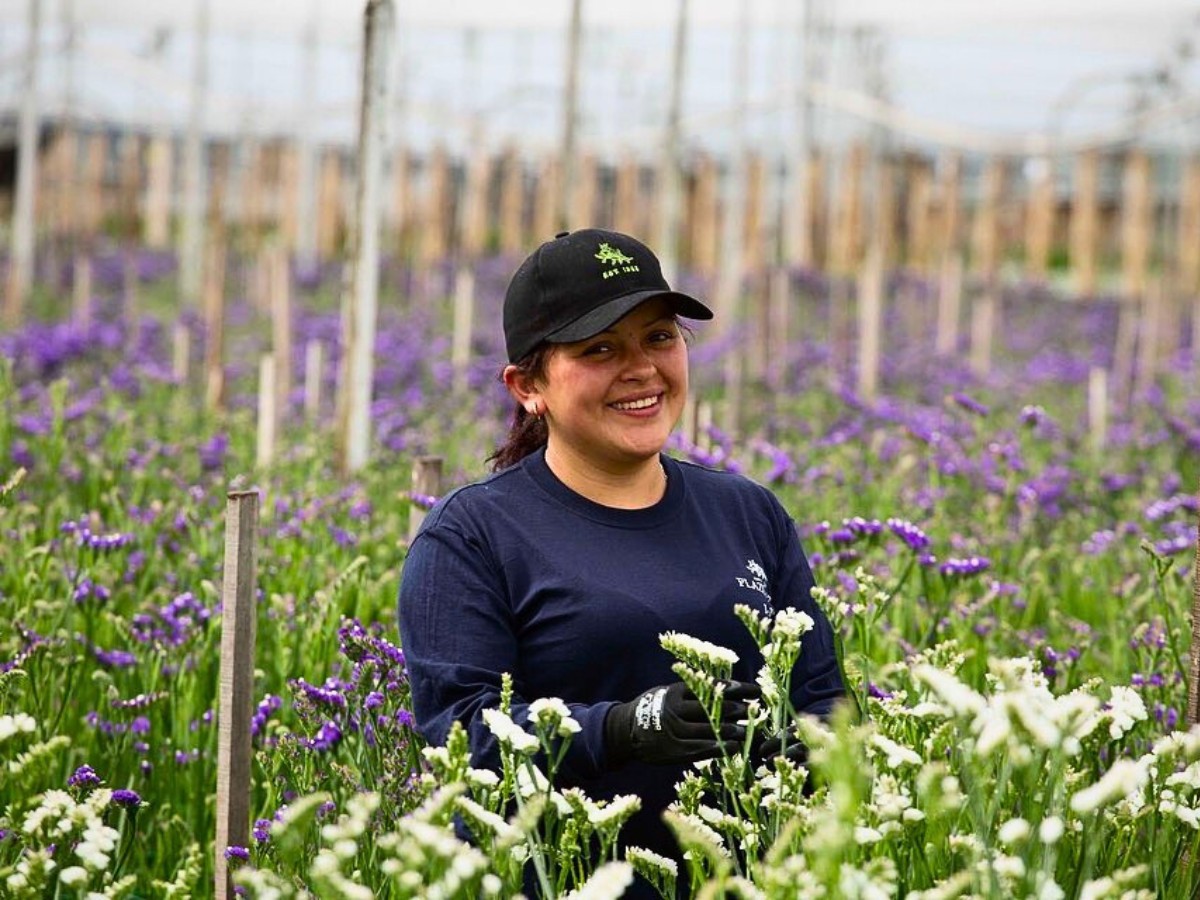 Colombia’s 23.7% Minimum Wage Increase and What It Means for Global Fl...