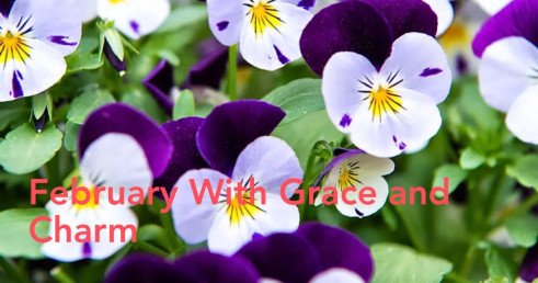 Violet and Iris Are the February Birth Flowers