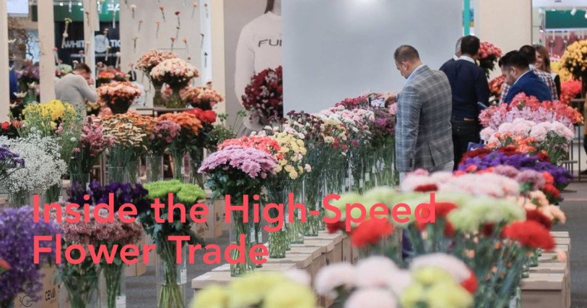 How the Global Flower Trade Moves Stems Fast Today