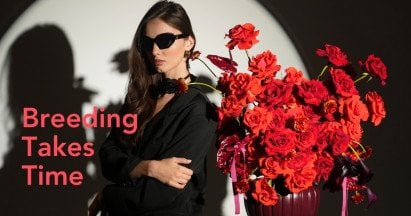This Valentine’s Day, Remember: Love Takes Time, So Do Roses