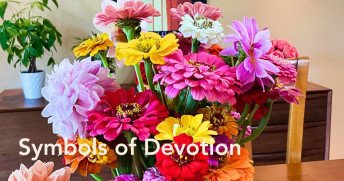 Flowers That Symbolize Love and Their Meanings