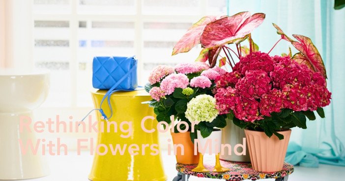 Celebrating International Color Day With Glorious Floral Hues
