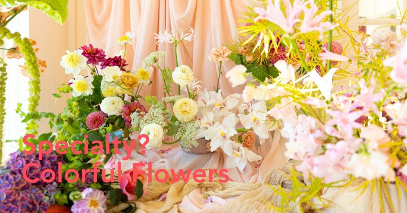 Rococo Floral Somerville Studio With Julia and Claudia