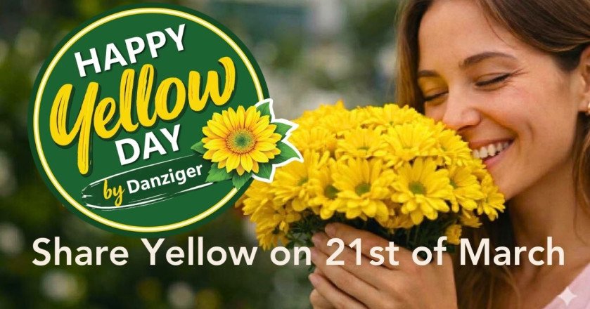 Happy Yellow Day – Celebrating Yellow Flowers on March 21
