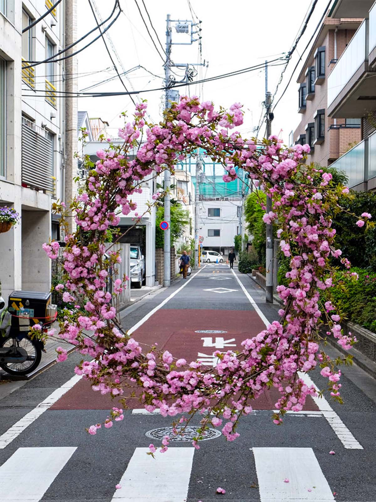 The Gigantic Creatures of Primitive Matter - Thursd