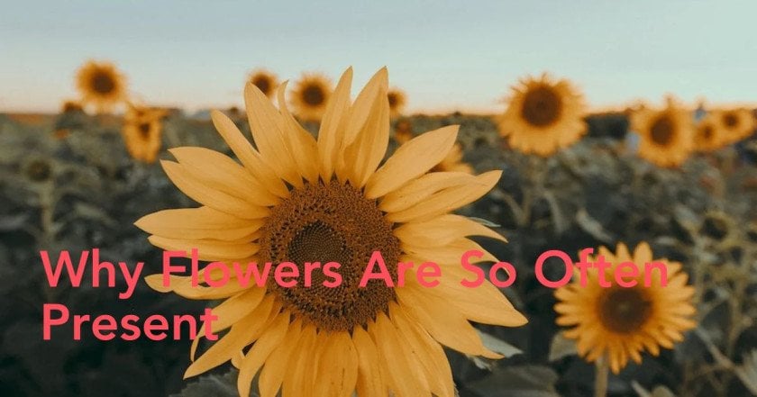 Language of Flowers: Personal Reflection & Self-Discovery