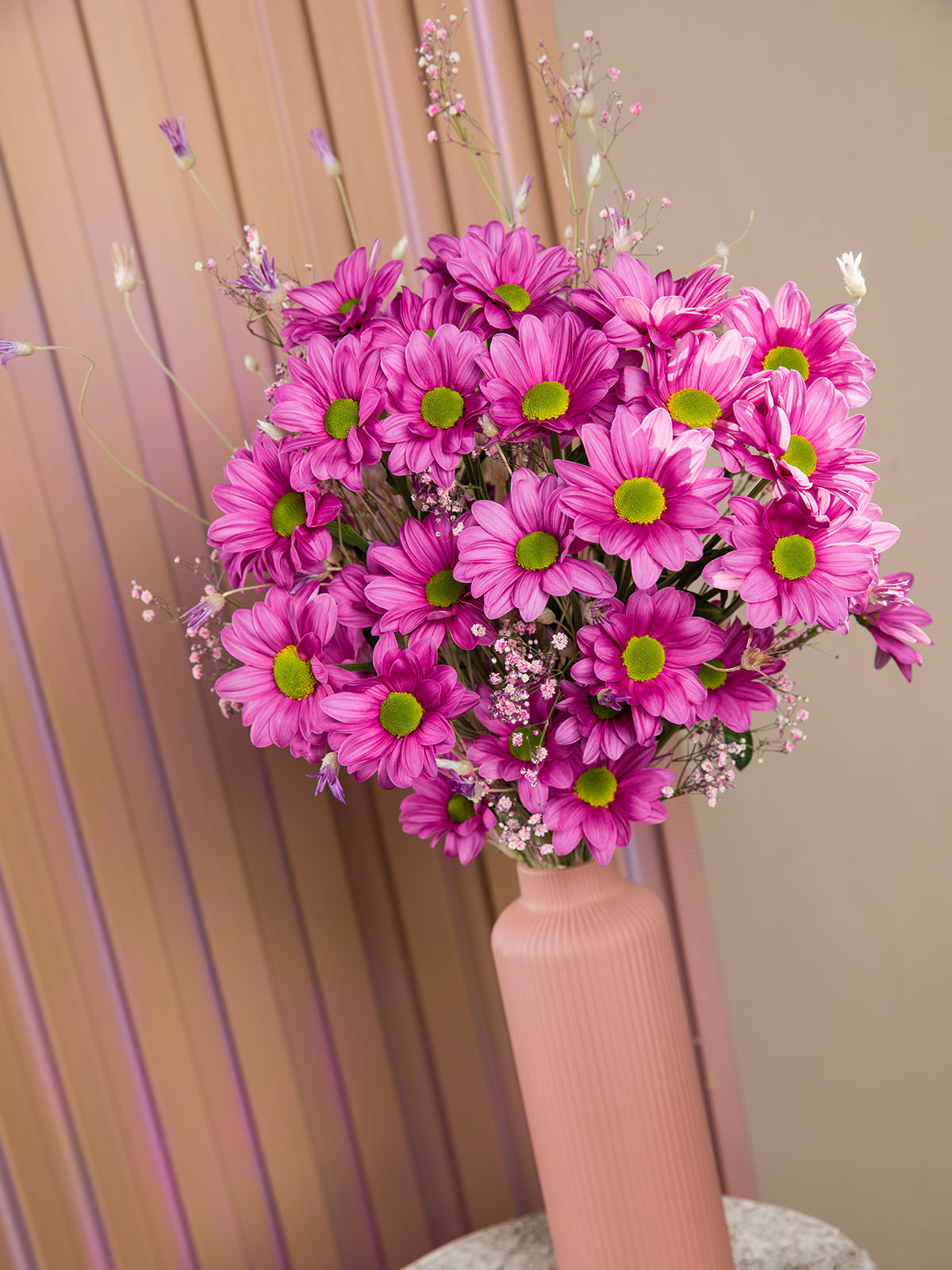 Dümmen Orange® Floricultural Excellence For You