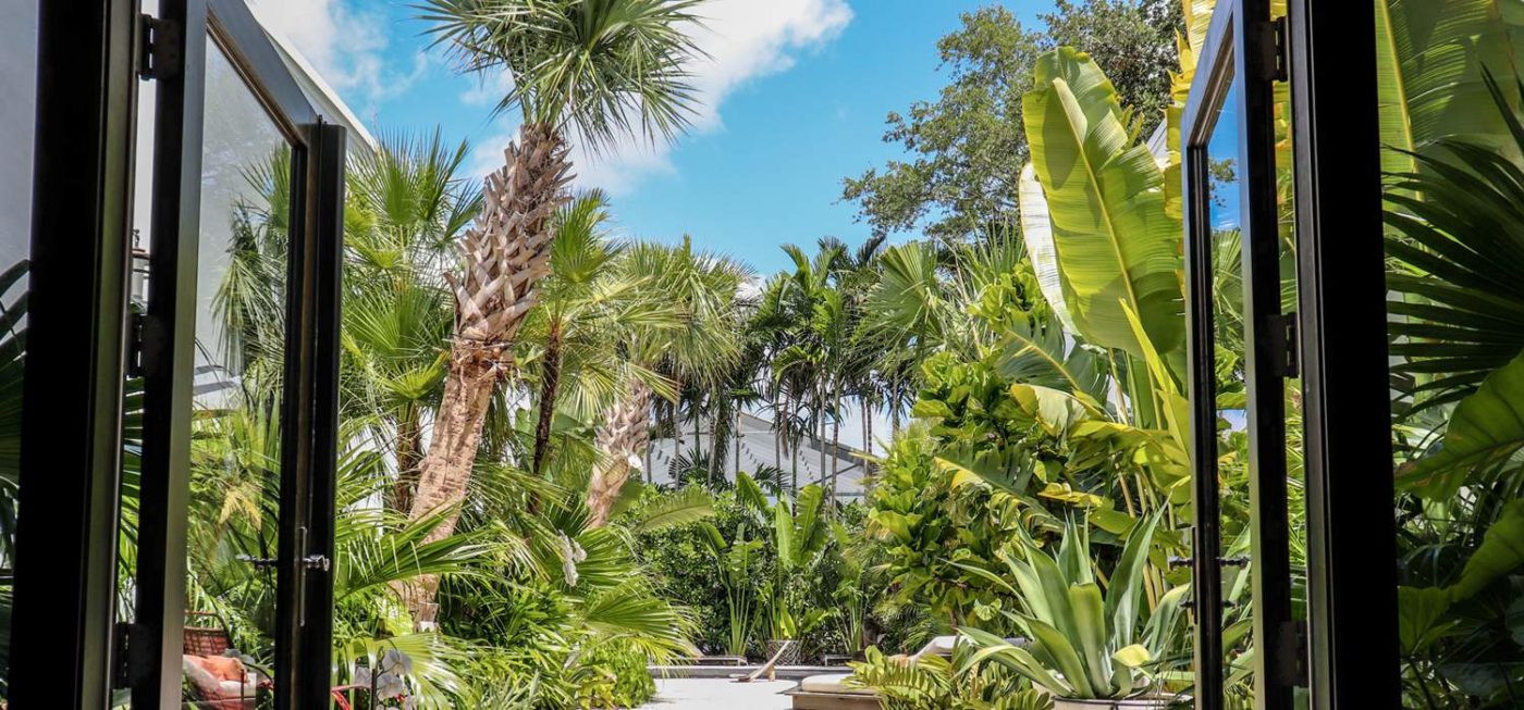 Plant the future Miami