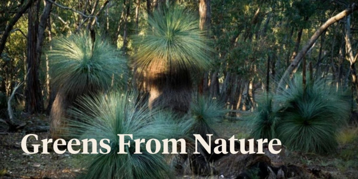 Premium Greens Australia