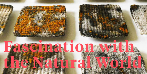 Alice Fox, Natural Fiber Artist, Scientist, and Gardener