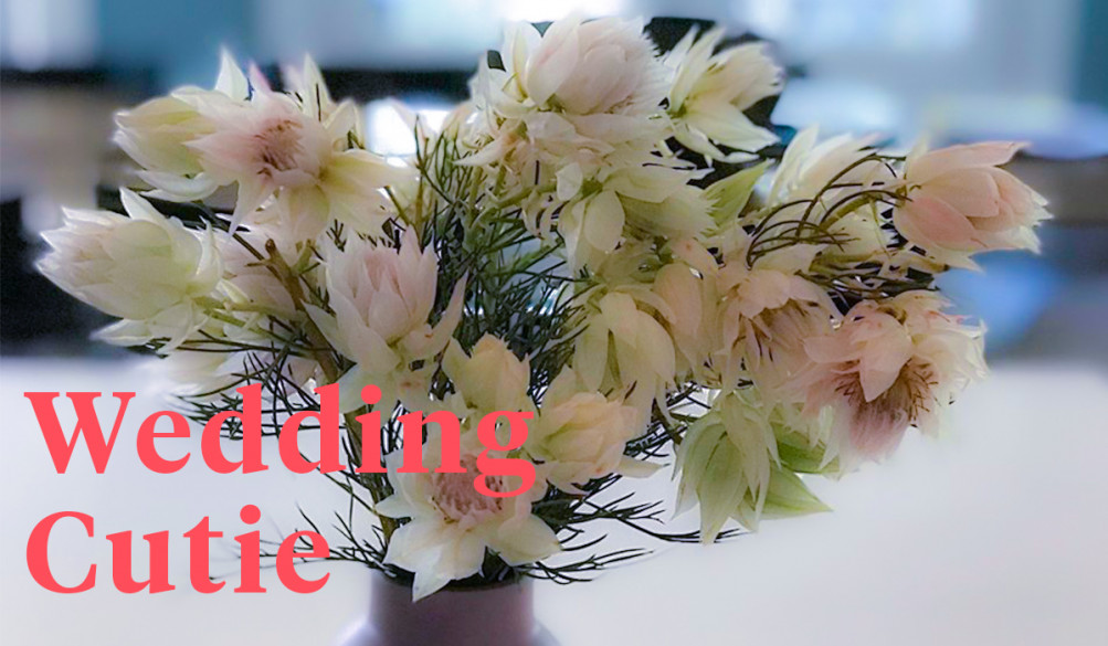 A Blushing Bride on Your Wedding