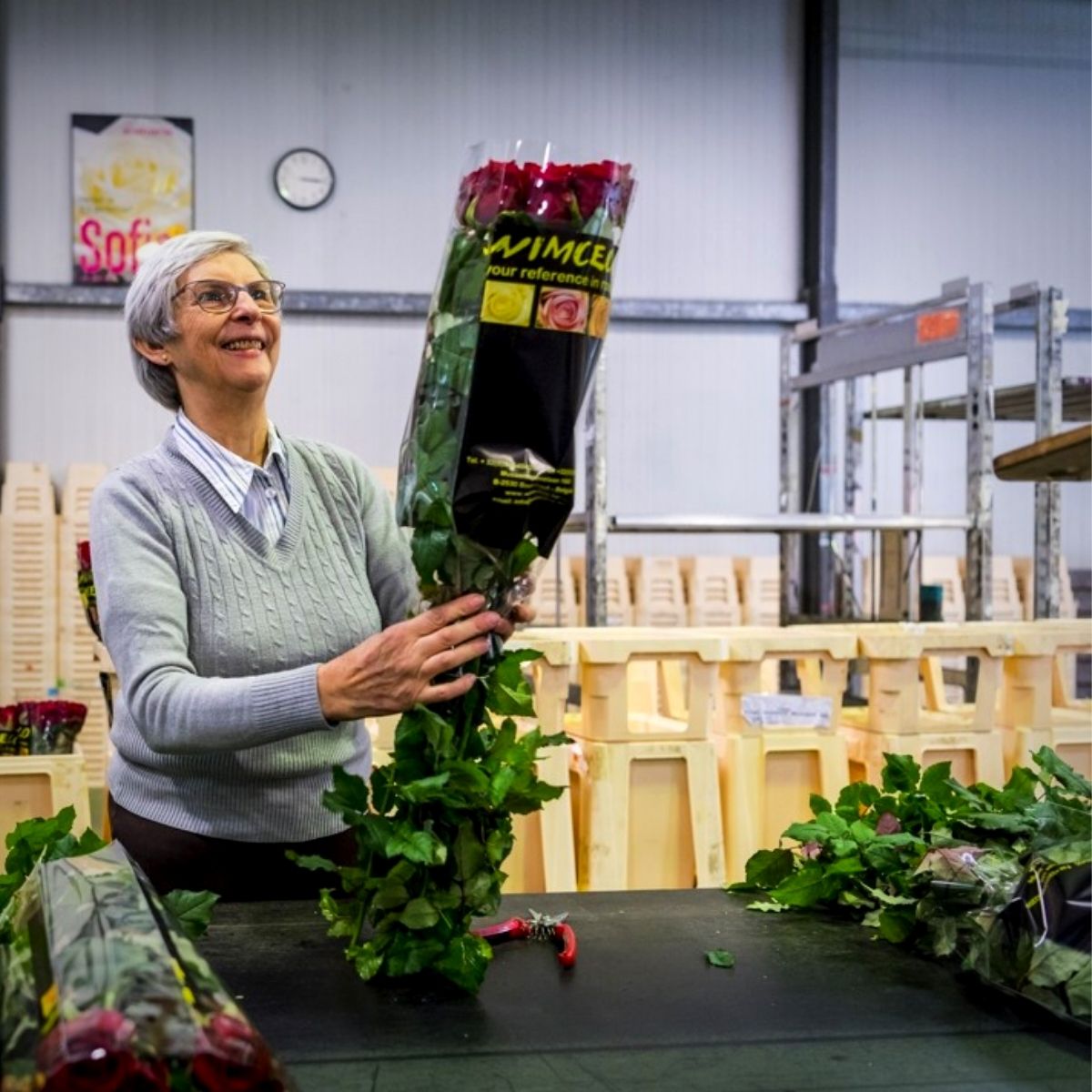 Three Rose Farms in Belgium