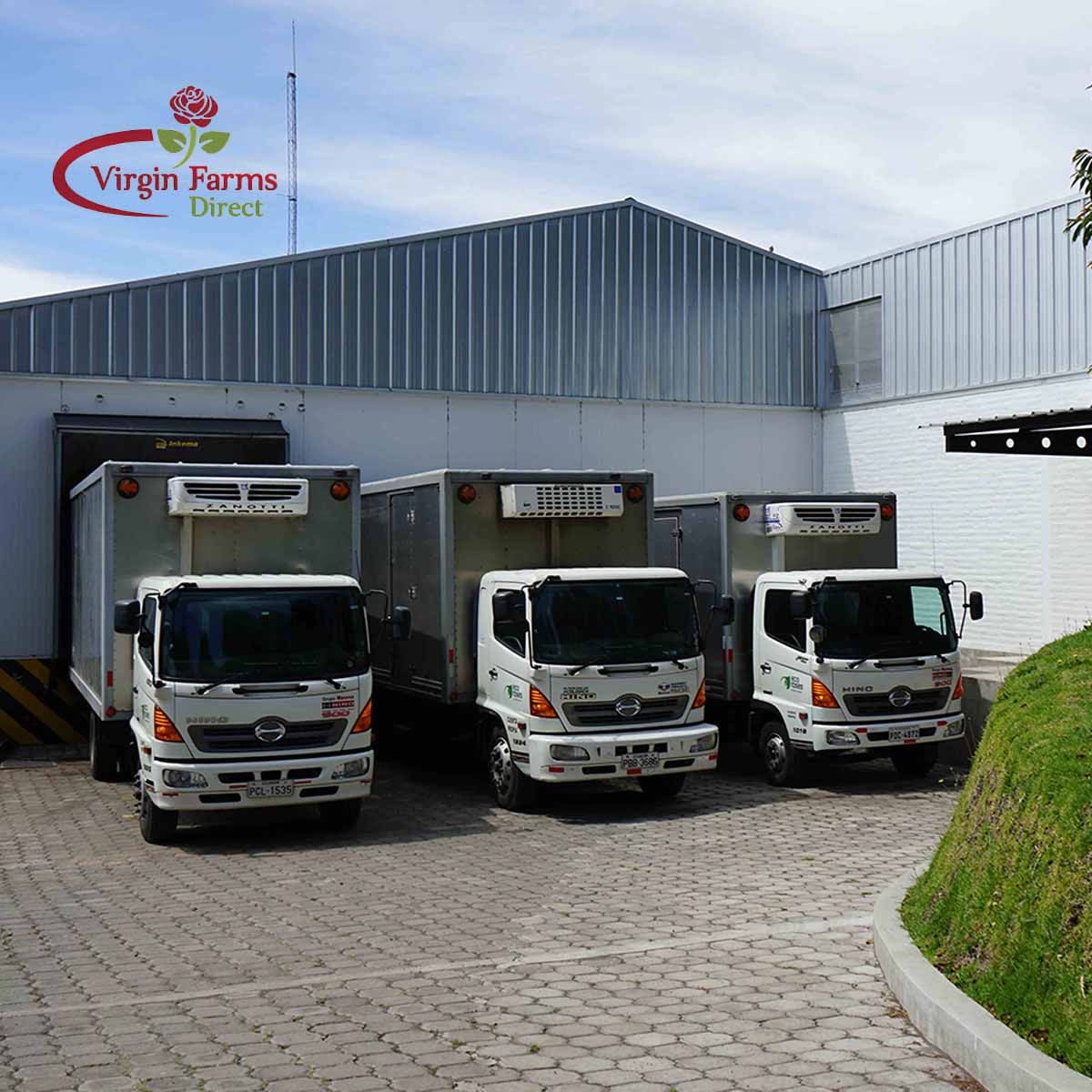 How Do Flower Growers Prepare for Valentine’s Day? - Thursd