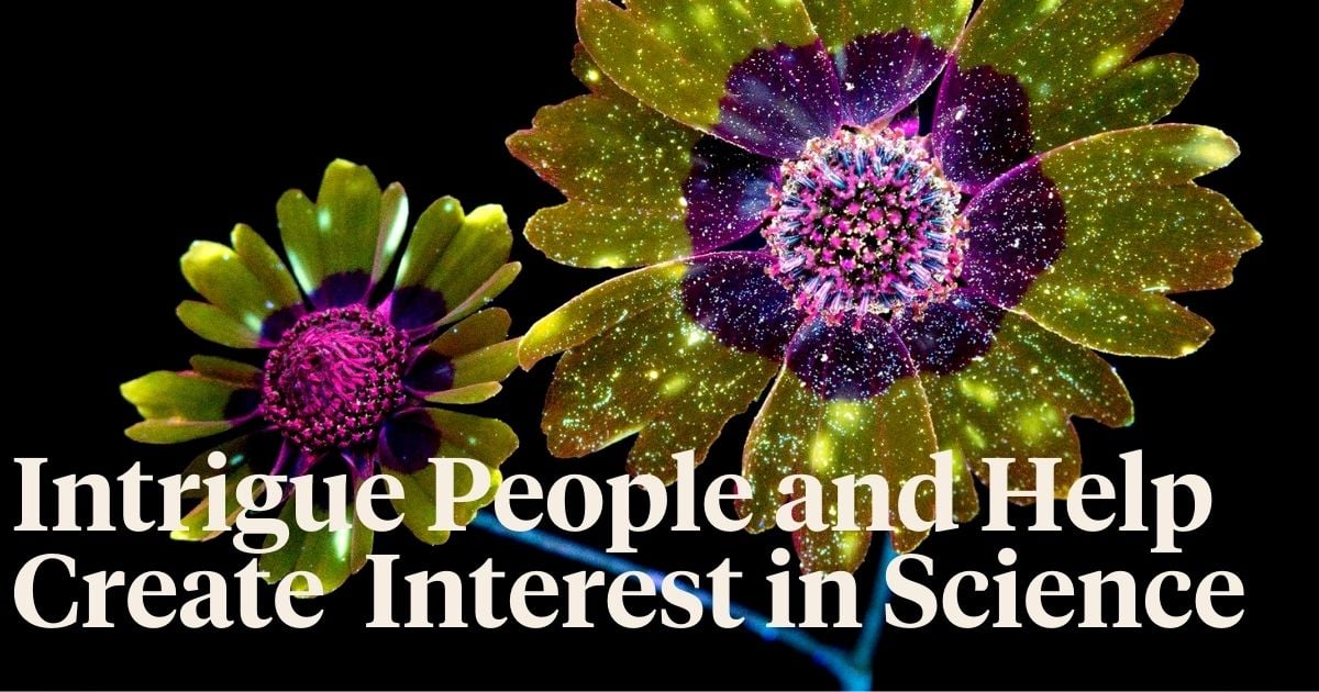 UV Fluorescence Photos Reveal Flowers’ Hidden Glow