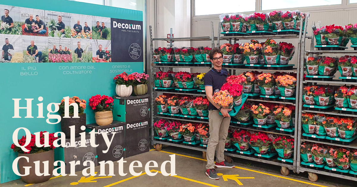 The Trust Between Merotto Fiori and Decorum