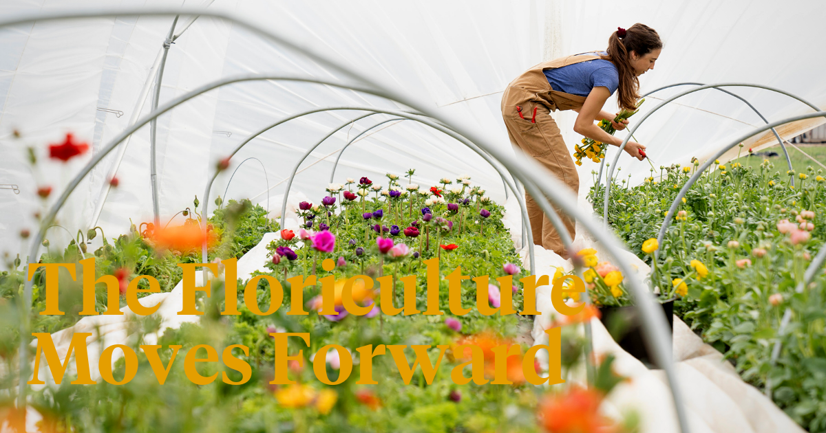 Sustainable Initiatives in Floriculture
