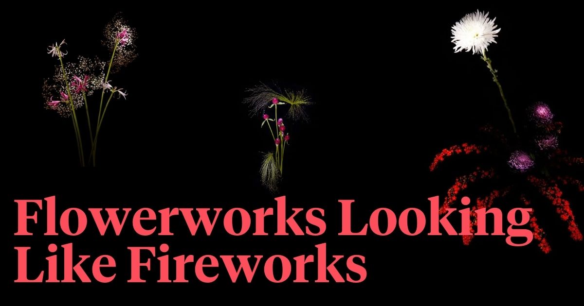 Firework Flower Bouquet | Best Flower Site