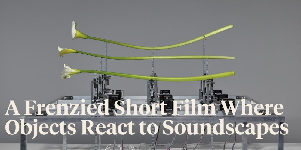 Sound Sculptures Transform Audio Into Moving Floral Art