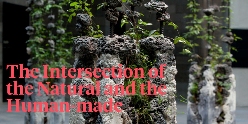 Jamie North Creates Living Sculptures with Native Plants - Article onThursd