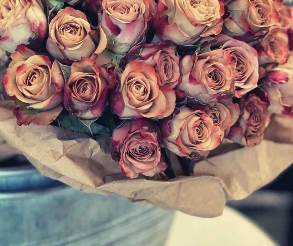 All About Roses @Decofresh Roses