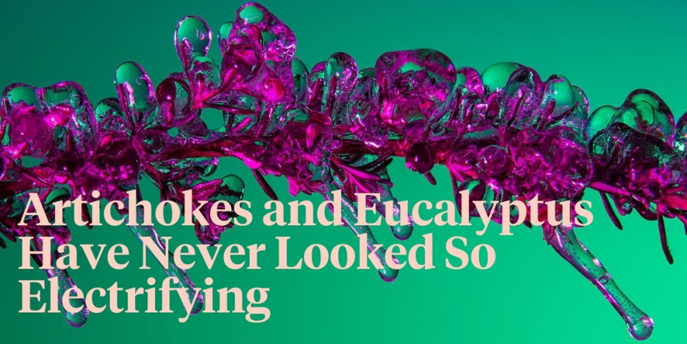 Rickert’s Kaleidoscopic Botanicals Bend Light & Color