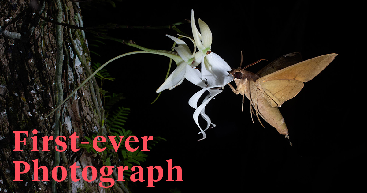 Chasing Ghosts - A New Discovery That Upends What We Thought We Know Abo...