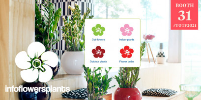 Online Product Database InfoFlowersPlants