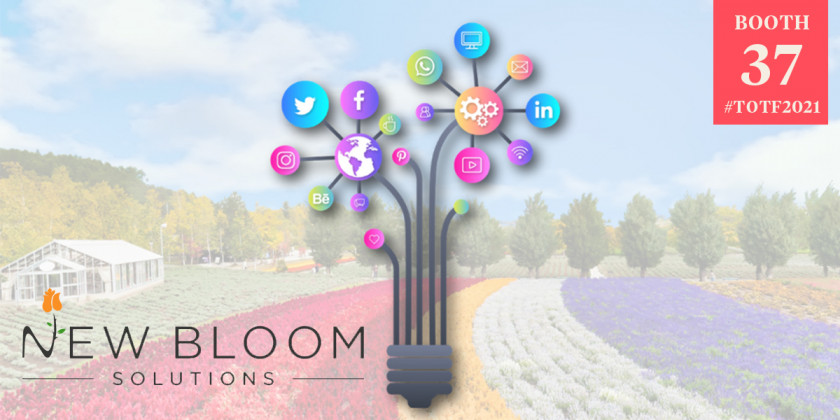 New Bloom Solutions on TOTF2021 Summer Edition