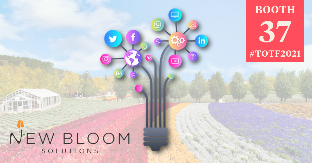 New Bloom Solutions on TOTF2021 Summer Edition