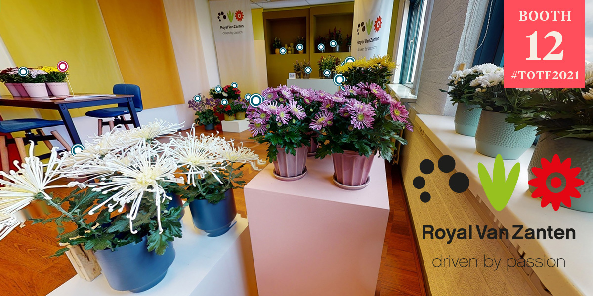 Visit Royal Van Zanten's Virtual 3D Trials