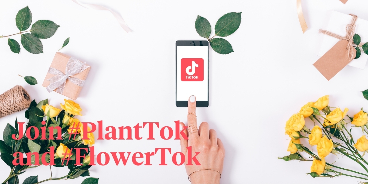 Flowers and Plants on TikTok Are Totally a Thing - Article on Thursd