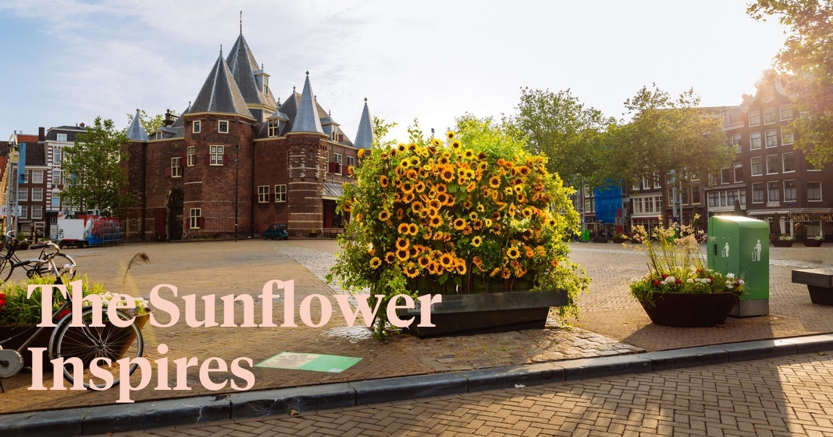 Sunflower Flash Amsterdam Celebrated Van Gogh’s Muse