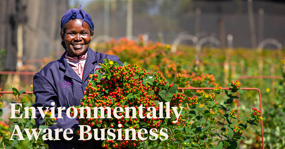 How KFC Focuses on Sustainability With FOSS