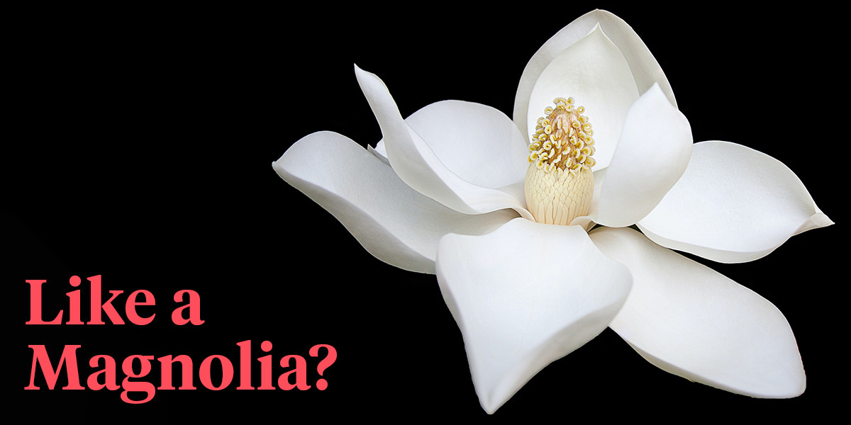 The First Flower in the History of Earth