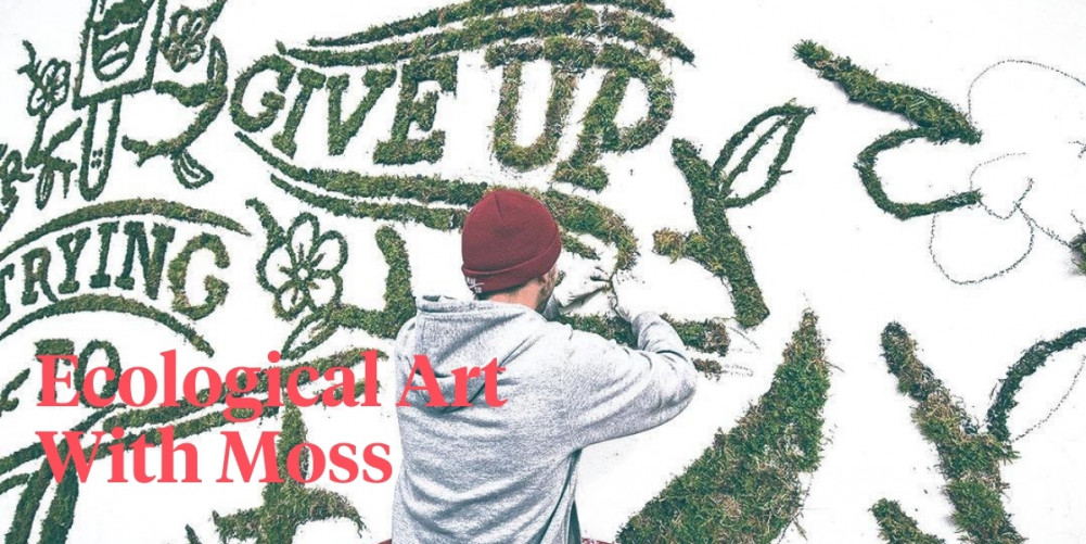 The Art of Moss Graffiti and How to Do it Yourself