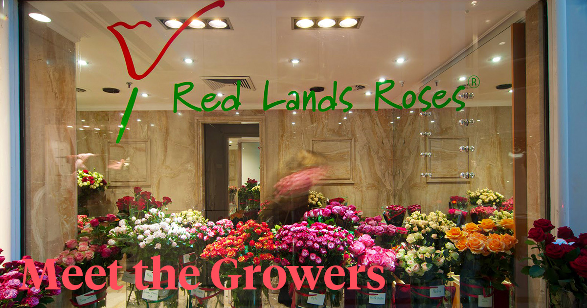 The Red Lands Roses Story: Its History and Its People