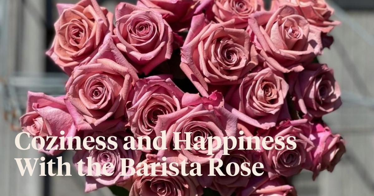 The Warm and Inviting Shades of the Rose Barista