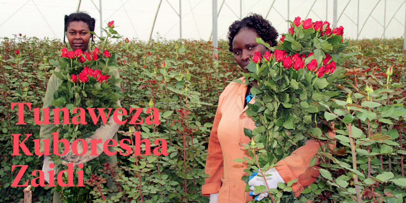Kaizen Drives Quality at Kenya’s Rift Valley Roses Farm