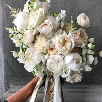 Rose Blushing Reeva - Thursd