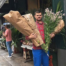 Rose Blushing Reeva - Thursd