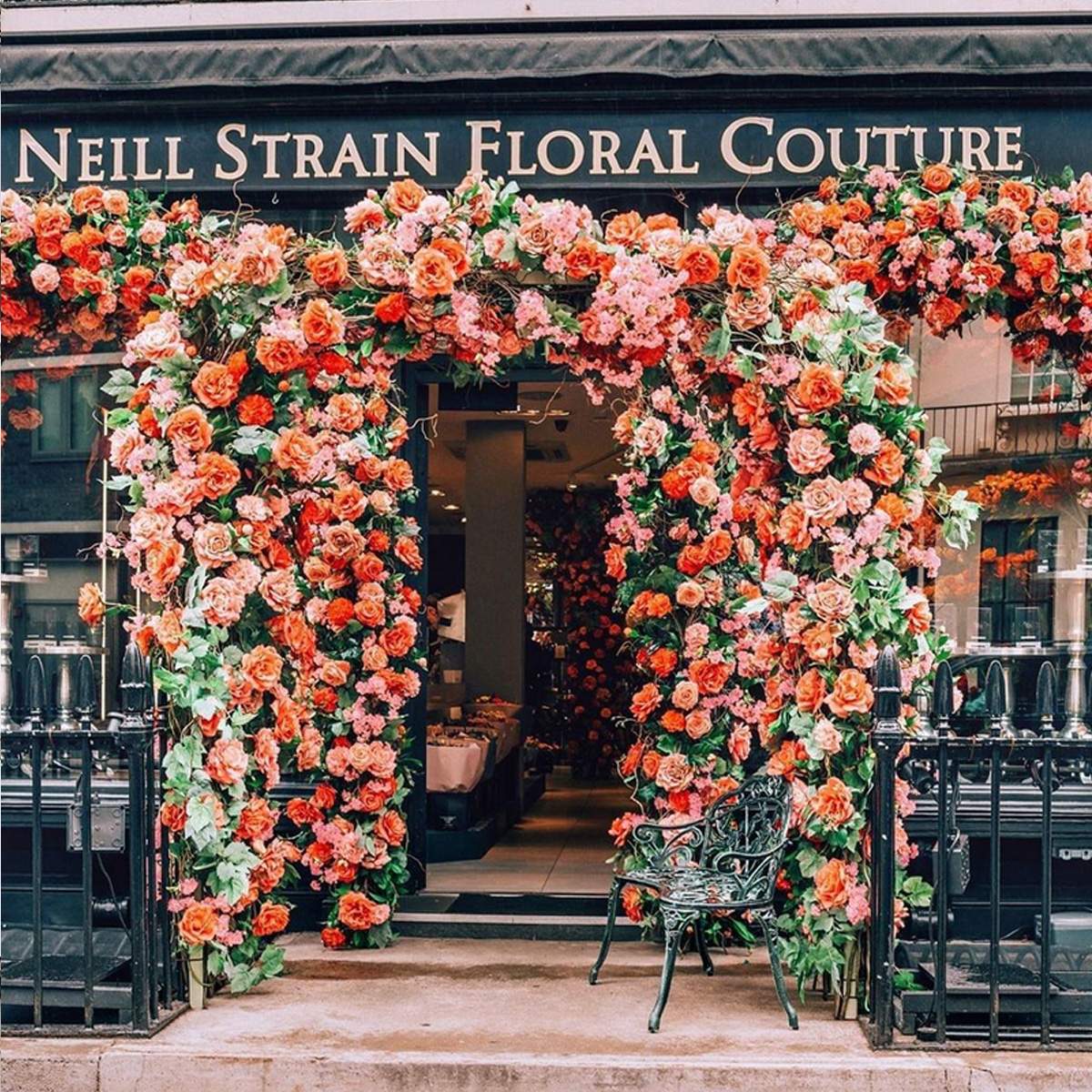 Neill Strain - Florist featured on Thursd
