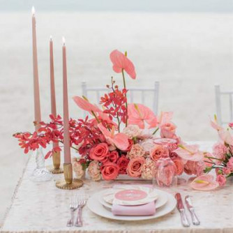 Rose Blushing Reeva - Thursd