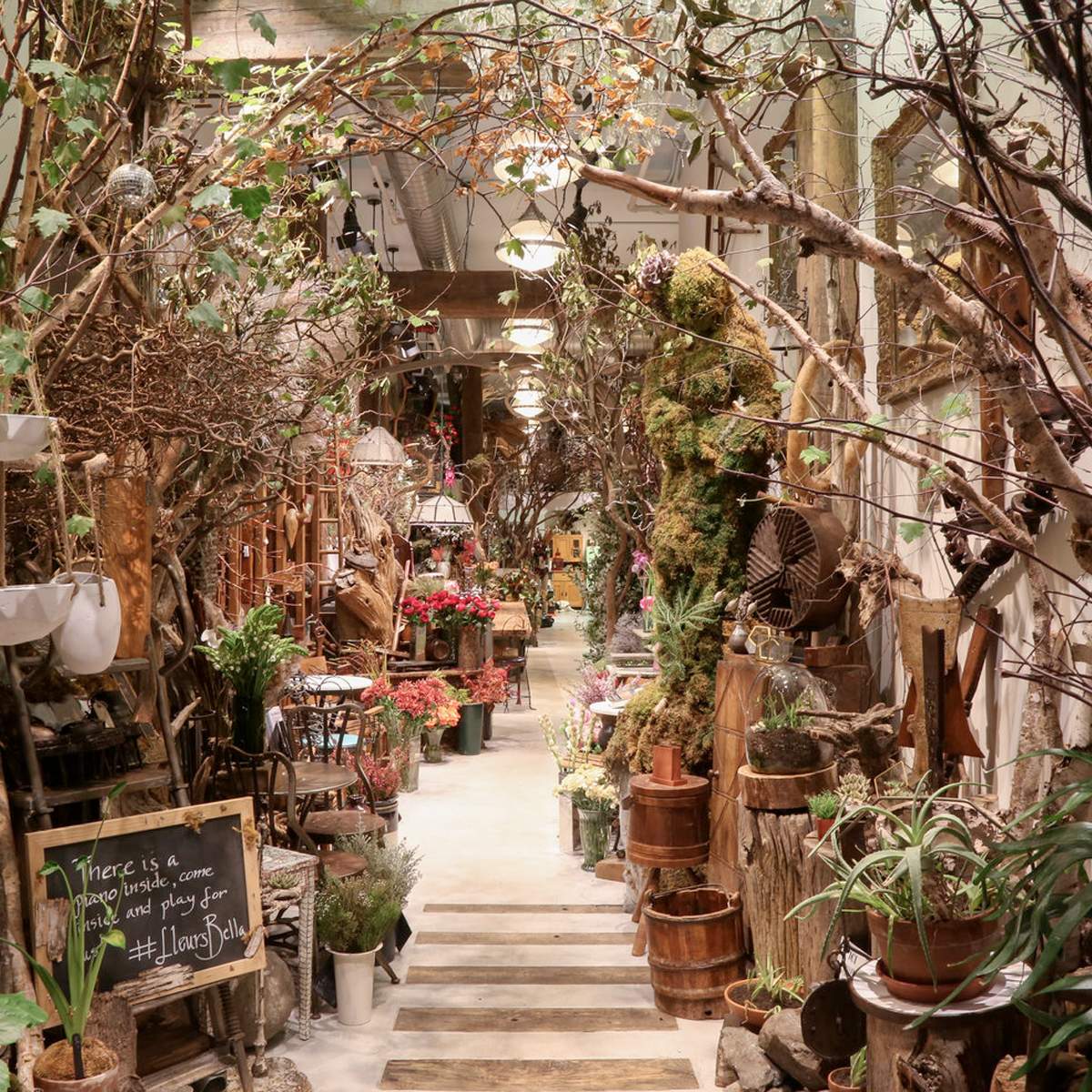 FleursBELLA - Florist featured on Thursd