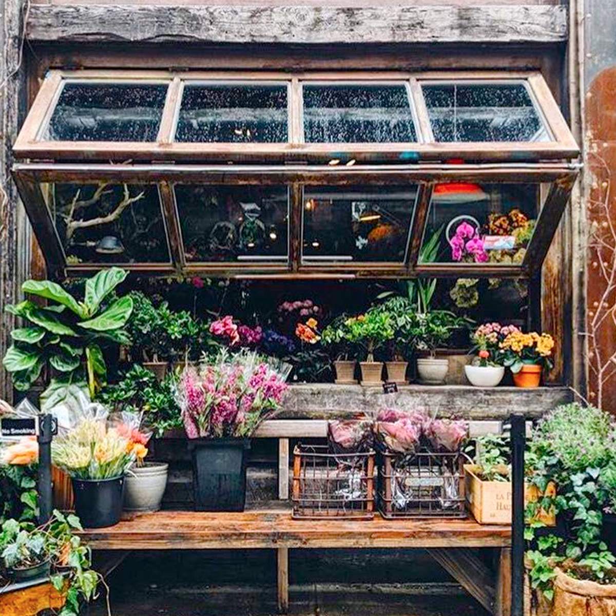 Le Bouquet - Florist featured on Thursd