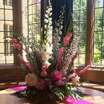 Lily Albufeira - Product on Thursd